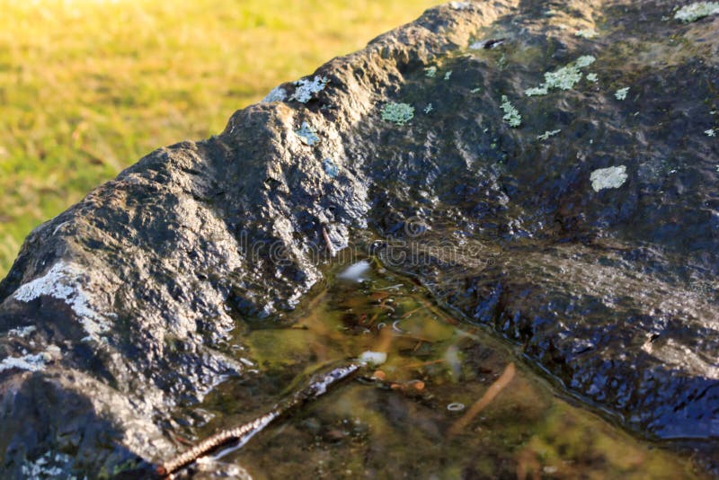 Puddle in a rock with moss stock image. Image of growth - 111738631