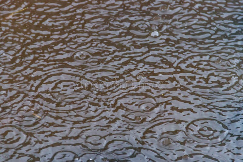 Puddle of Water with Splashing Raindrops during Downpour Stock Photo ...