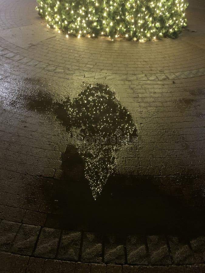 Puddle of Water Taken at Night with Reflection of Illuminated Christmas ...