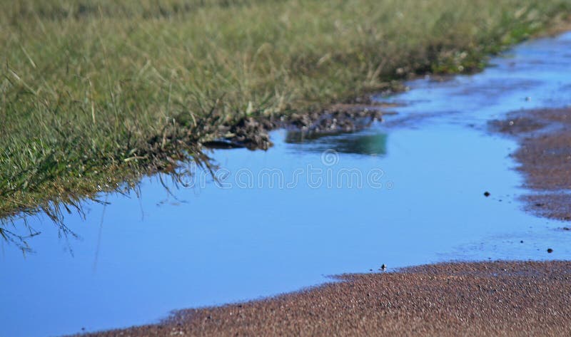 PUDDLE of WATER on a TARRED ROAD Stock Photo - Image of grass, outdoors ...