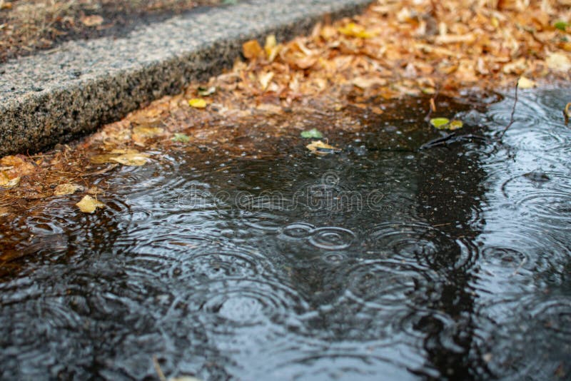 Puddle water on wet street stock photo. Image of raindrops - 128360836