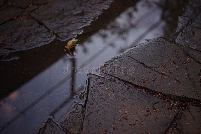 Puddle on a Wet Wild Stone Road, Closeup. Stock Image - Image of ...