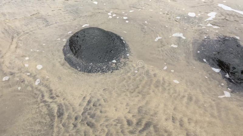 Puddles in the beach stock video. Video of relax, sand - 76238043