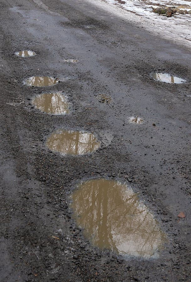 Road after Rain, Puddle with Reflection of a Tree, Leaves on Wet ...