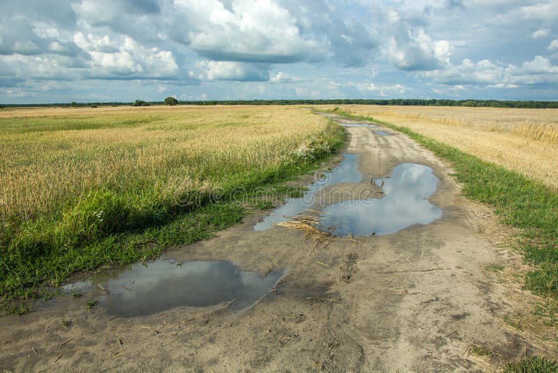 Puddles on the dirt road stock photo. Image of gray, countryside - 26268396