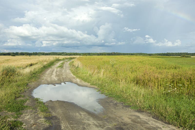 Puddles on a Dirt Road through Fields and Rainy Clouds in the Sk Stock ...