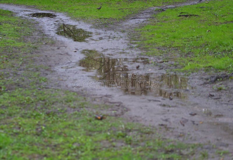 Puddles on a Dirt Track Wet after Rain Stock Image - Image of april ...