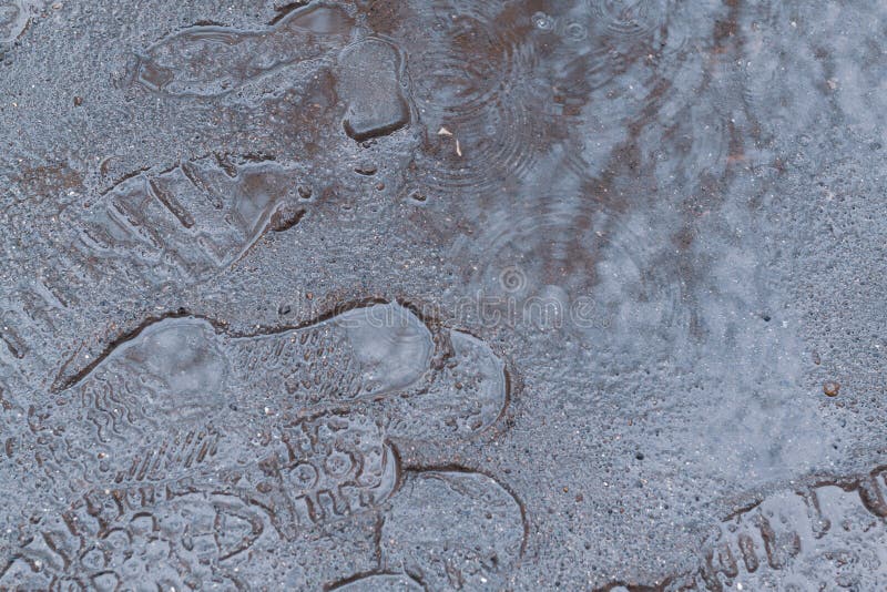 Wet Footprint Puddles in Beach Pebbles by Dawn Stock Photo - Image of ...