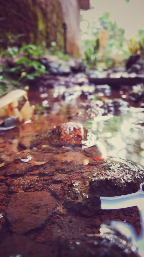 Puddles near the house stock image. Image of house, food - 254146185