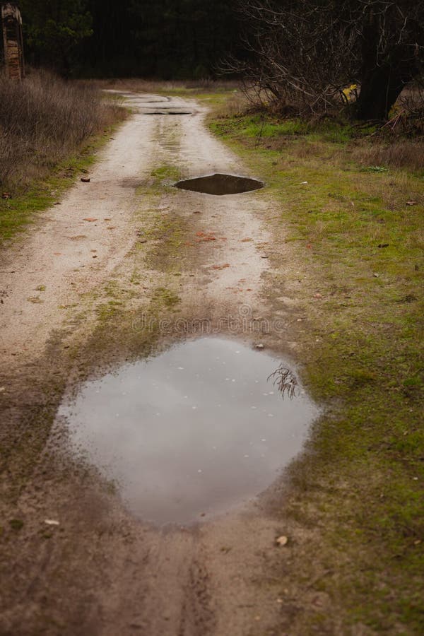 Puddles in the pathway stock photo. Image of rainy, brown - 82178574