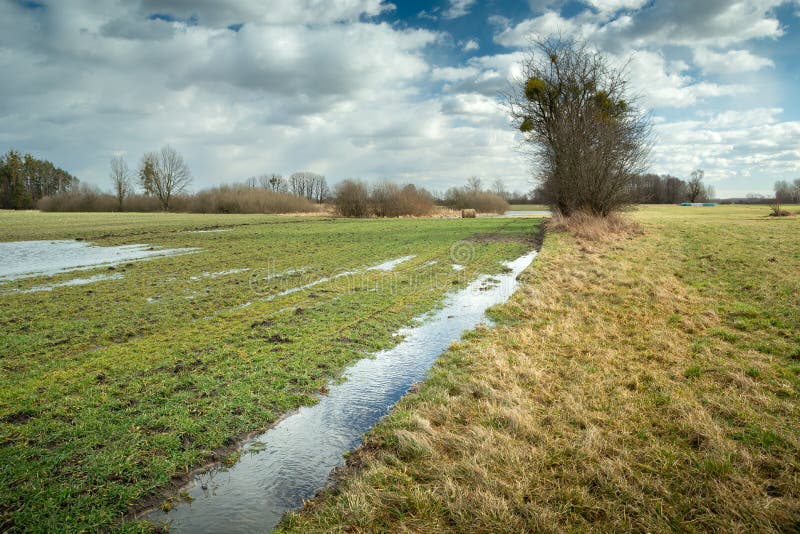 Puddles after Rainfall on the Field Border Stock Photo - Image of ...