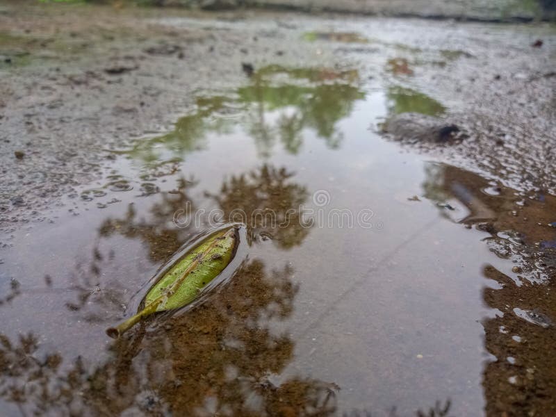 Puddles of Rainwater on the Ground. Stock Image - Image of nature ...
