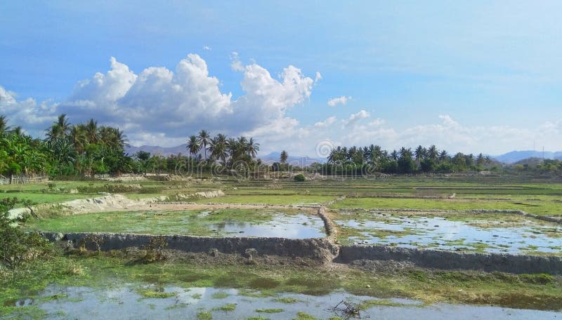 Manatuto Timor Stock Photos - Free & Royalty-Free Stock Photos from ...