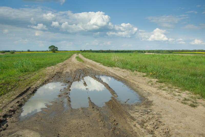 Puddles on a Sandy Road through Fields and Clouds on a Blue Sky Stock ...