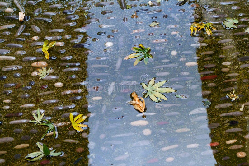 Puddles on the Sidewalk of Pebbles Stock Image - Image of autumn, color ...
