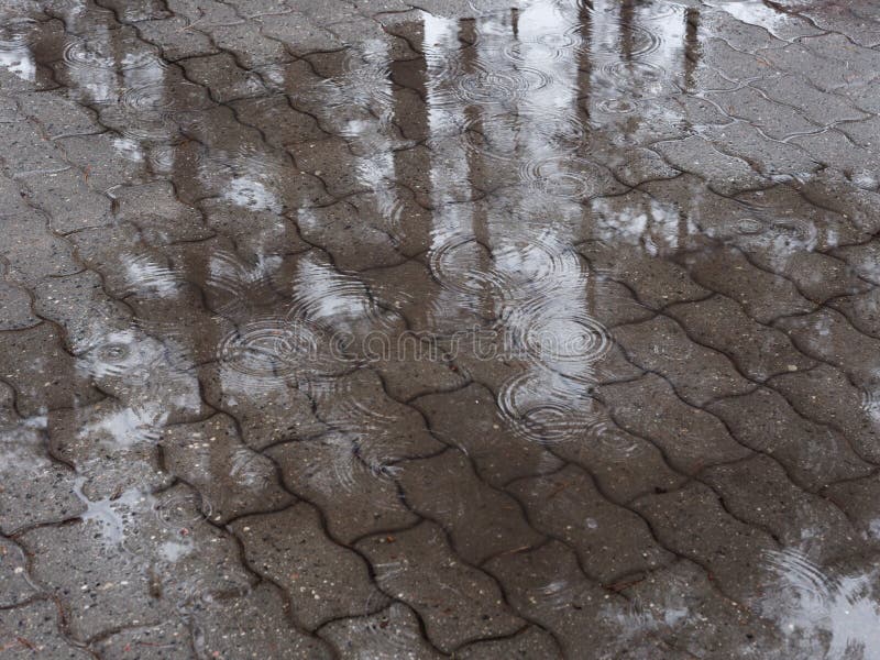 Puddles on the Tile Path. Drizzle Light Rain Stock Photo - Image of ...