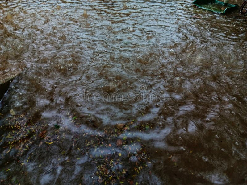 Puddles of Water when it Rains Stock Photo - Image of puddles ...