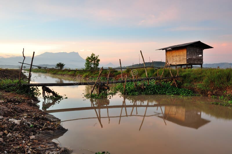 Pueblo Rural En Sabah Borneo Imagen de archivo - Imagen de verde, fondo ...