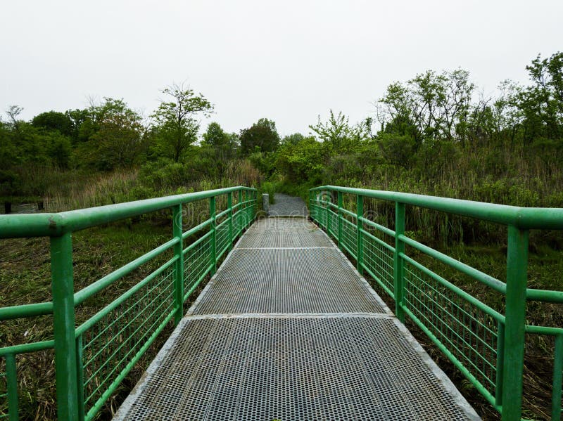 Puente Recto Largo a La Naturaleza Imagen de archivo - Imagen de ...
