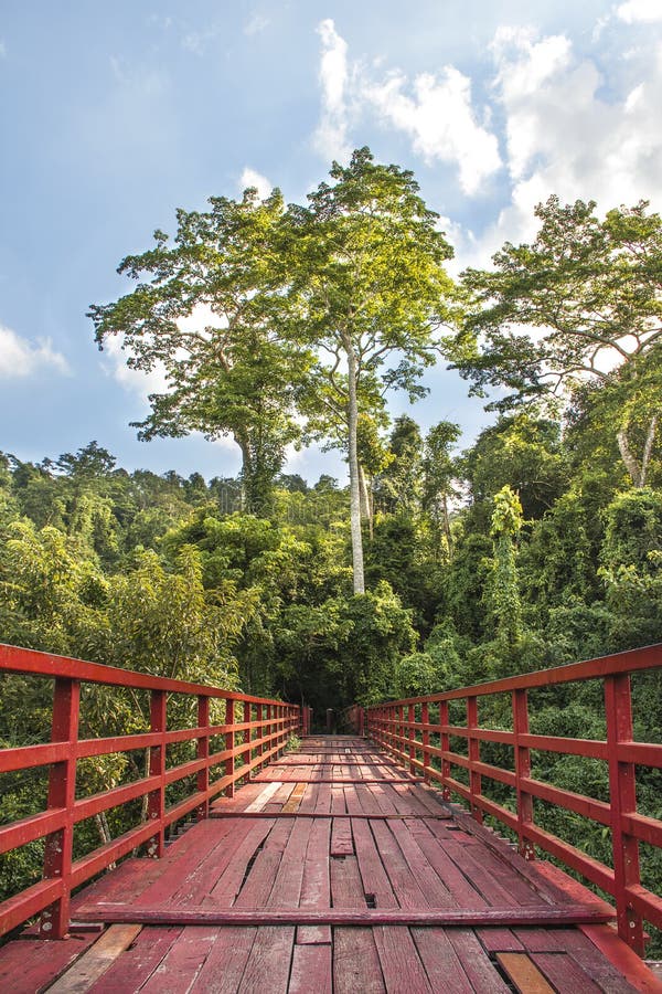 Puente rojo en bosque imagen de archivo. Imagen de turismo - 127782679