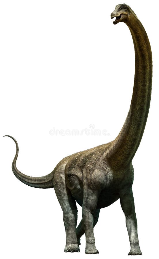 Protoceratops stock illustration. Illustration of ceratopsian - 81800793