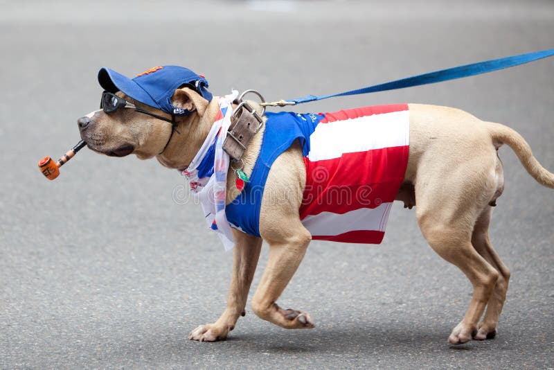 235 Puerto Rico Festival Carnival Stock Photos - Free & Royalty-Free ...