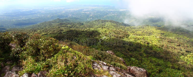 Landscape El Yunque National Rainforest Puerto Rico United States ...