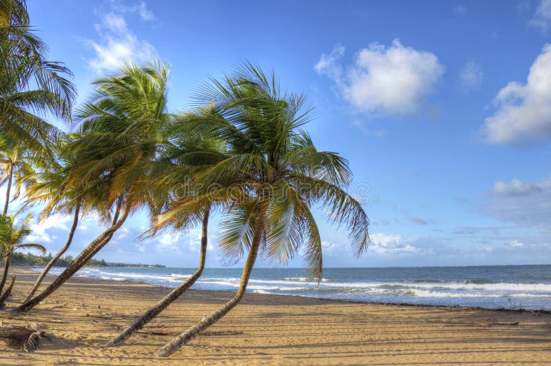 Puerto Rico Beach stock image. Image of puerto, blue - 48481679