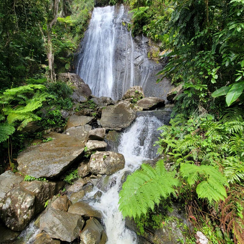 Puerto Rico Natural Rainforest Waterfall Stock Image - Image of rico ...