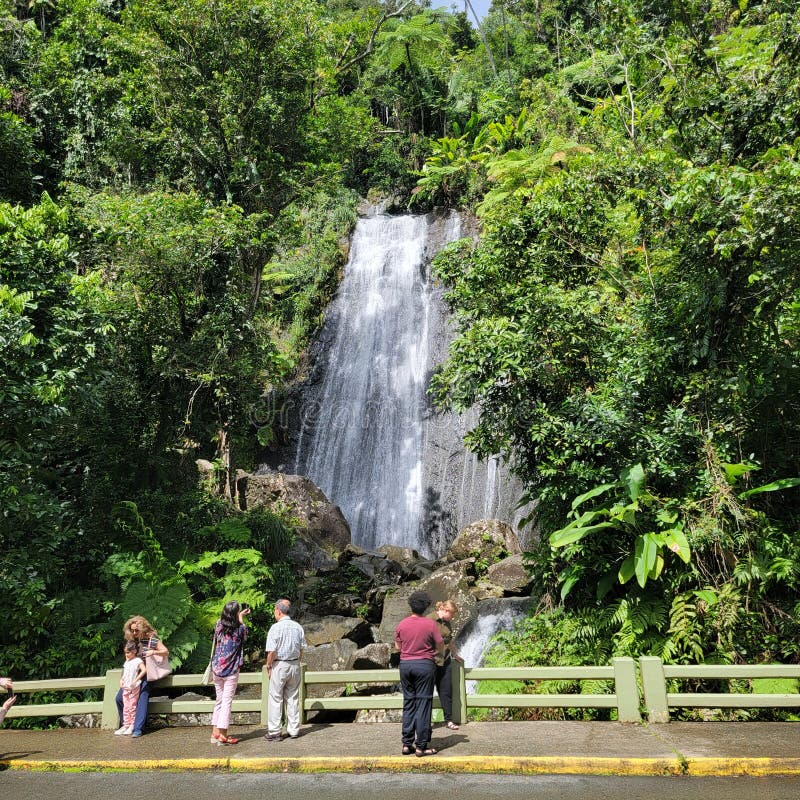 Puerto Rico Natural Rainforest Waterfall Editorial Stock Image - Image ...