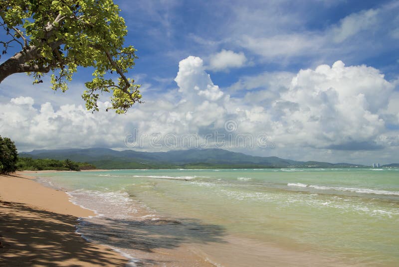 Puerto Rico Foam Finger Stock Photos - Free & Royalty-Free Stock Photos ...