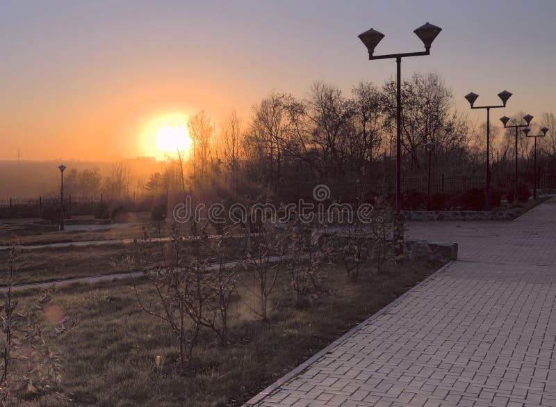 Puesta Del Sol Con Los Rayos De Sol En El Parque Foto de archivo ...