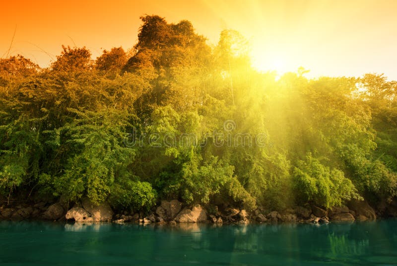Puesta del sol en selva imagen de archivo. Imagen de cubo - 8659365