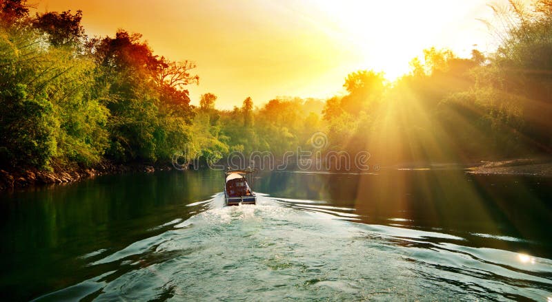 Puesta del sol en selva foto de archivo. Imagen de hierba - 9295440