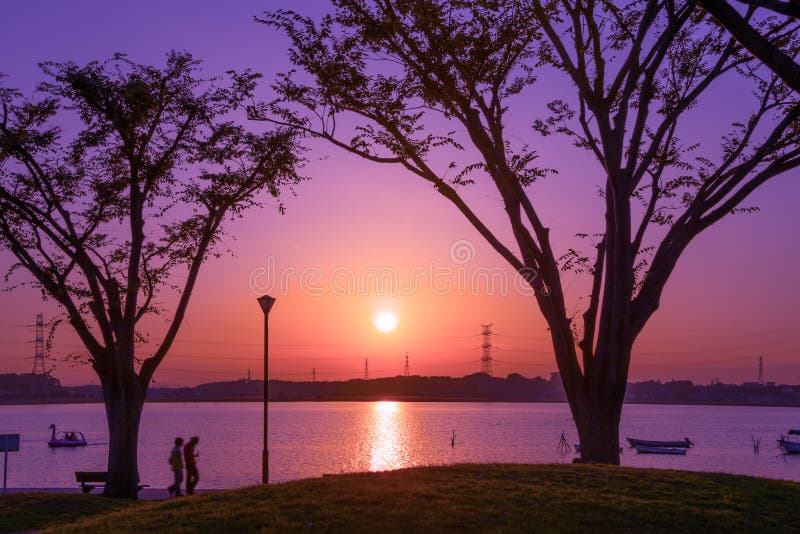 Puesta de sol en el parque imagen de archivo. Imagen de sunset - 162269375