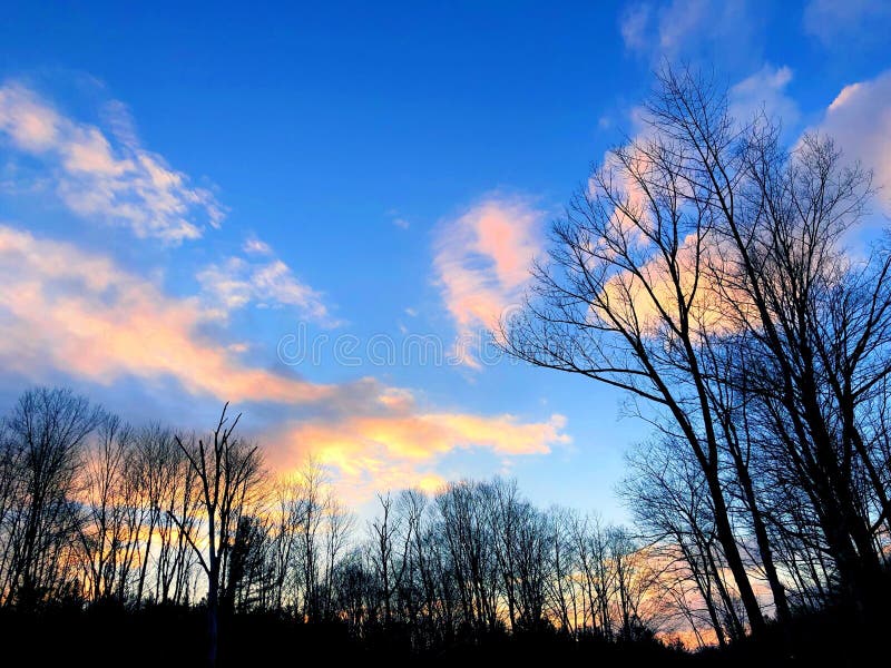 Puesta Del Sol Que Brilla Intensamente En El Bosque Imagen de archivo ...