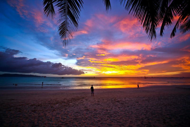 Puesta del sol tropical imagen de archivo. Imagen de licencia - 12888057