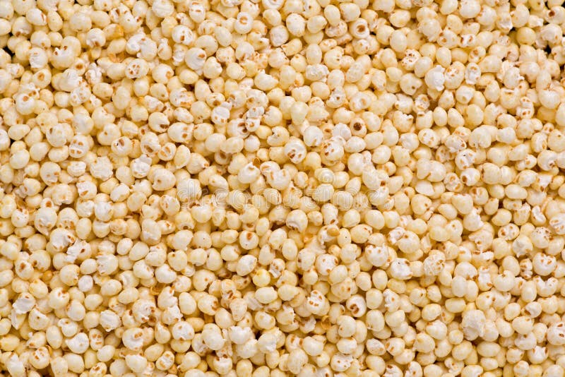 Puffed Millet stock image. Image of puffed, cereal, ingredient - 19468473