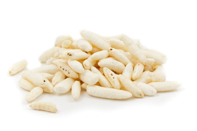 Maggots stock image. Image of ugly, worms, bunch, infestation - 19685321