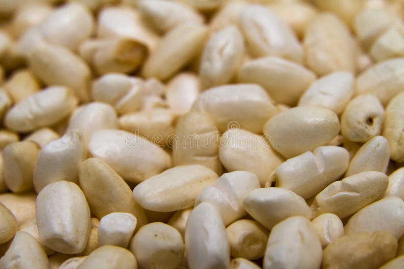 Puffed rice stock photo. Image of macro, produce, plant - 296159496
