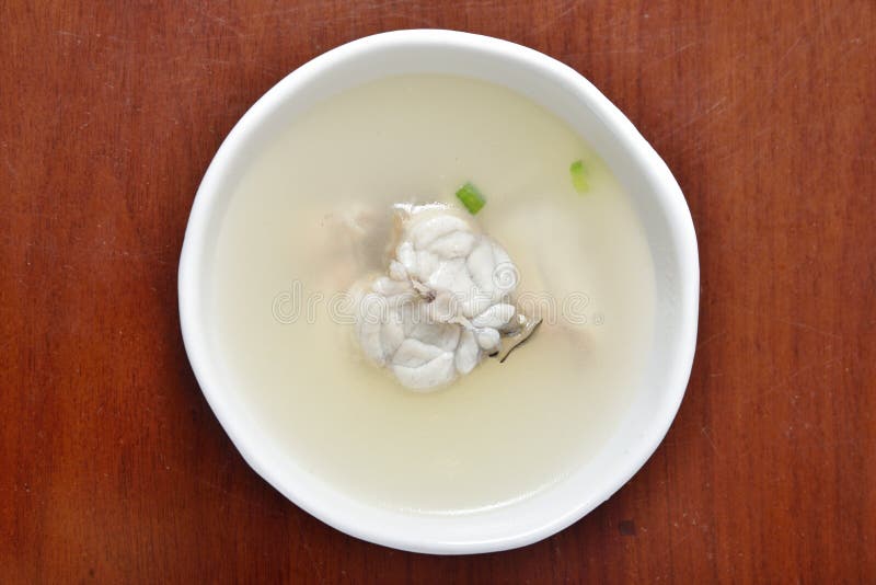 Puffer fish soup stock image. Image of vegetable, lunch - 98225035