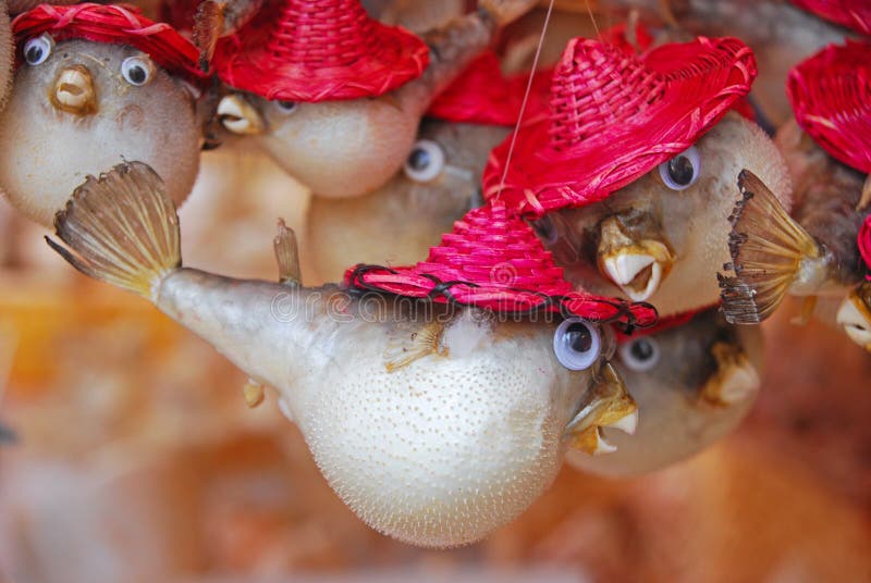 Fish Maw Sold at Local Market Stock Photo - Image of food, agriculture ...