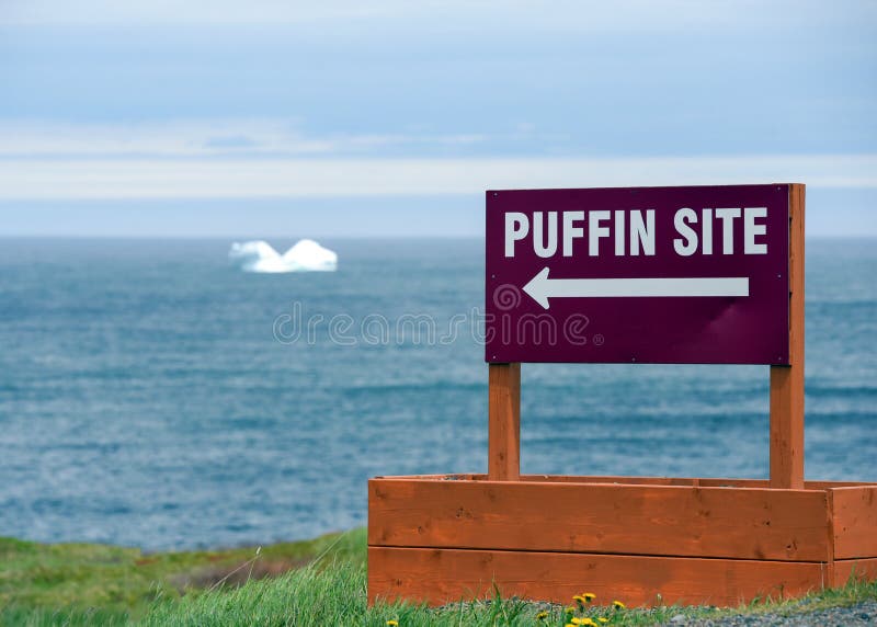 Puffin Site Sign with Iceberg in Atlantic Ocean Stock Image - Image of ...