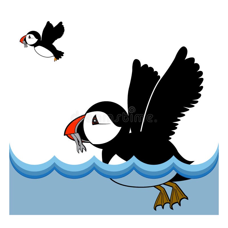 Puffin Vector Illustration on White Background Stock Vector ...