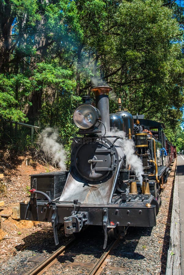 Puffing Billy steam train stock image. Image of passenger - 52073567