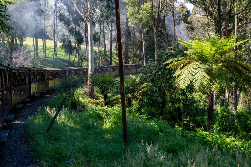 Puffing Billy steam train stock image. Image of steam - 228564457