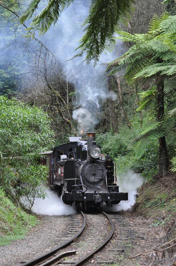 Puffing Billy Train stock photo. Image of attraction - 31146324