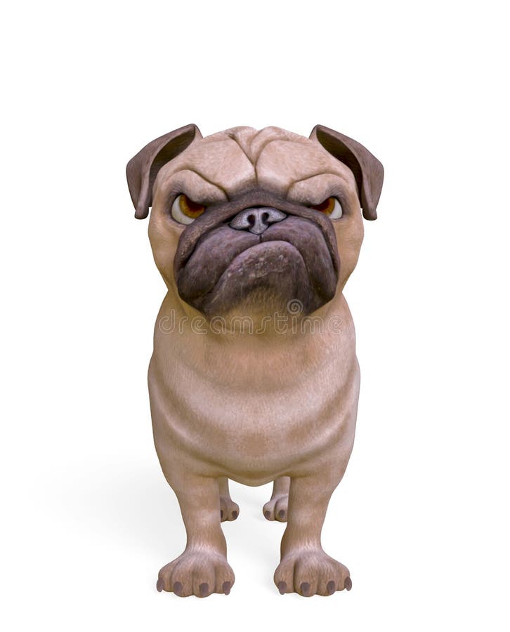 Pug cartoon is angry stock illustration. Illustration of beautiful ...