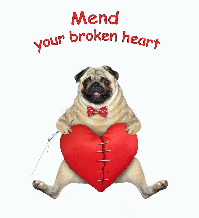 Can Dogs Have A Broken Heart