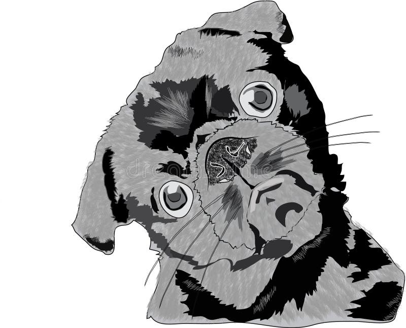 Dog Doubt Stock Illustrations – 164 Dog Doubt Stock Illustrations ...